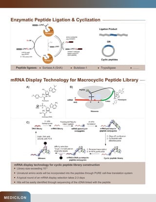 Synthetic Biology——Medicilon Peptide Drug Discovery Service Platform | PDF