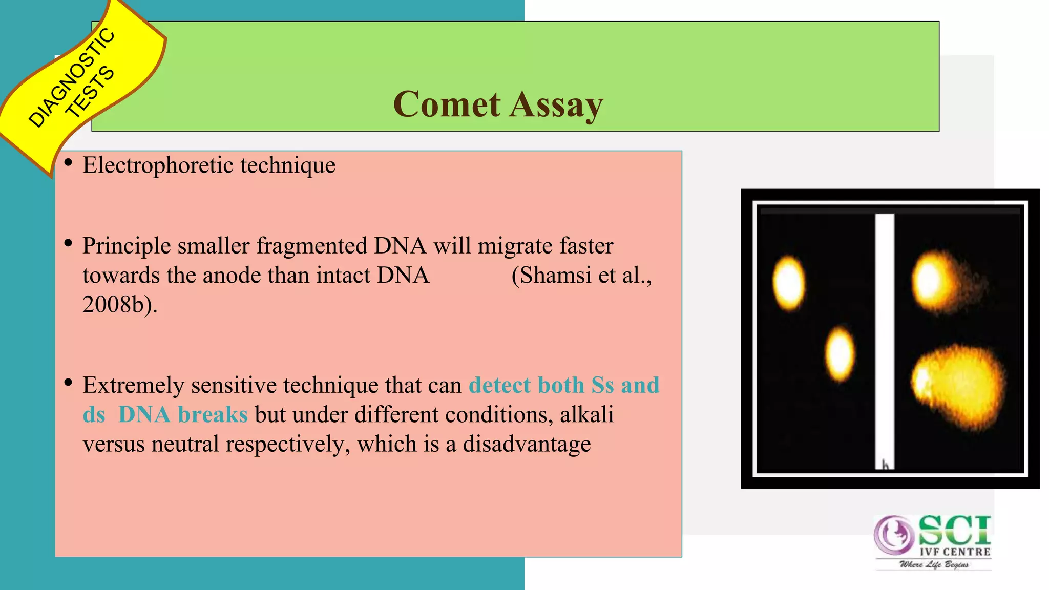 Sperm DNA Fragmentation : Role in natural and assisted conception ...