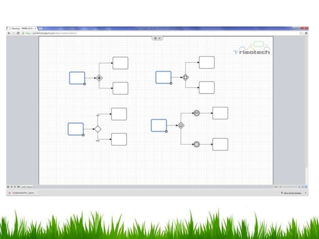 Introducing Trisotech BPMN Process Animator bpmNEXT 2014 | PPTX ...