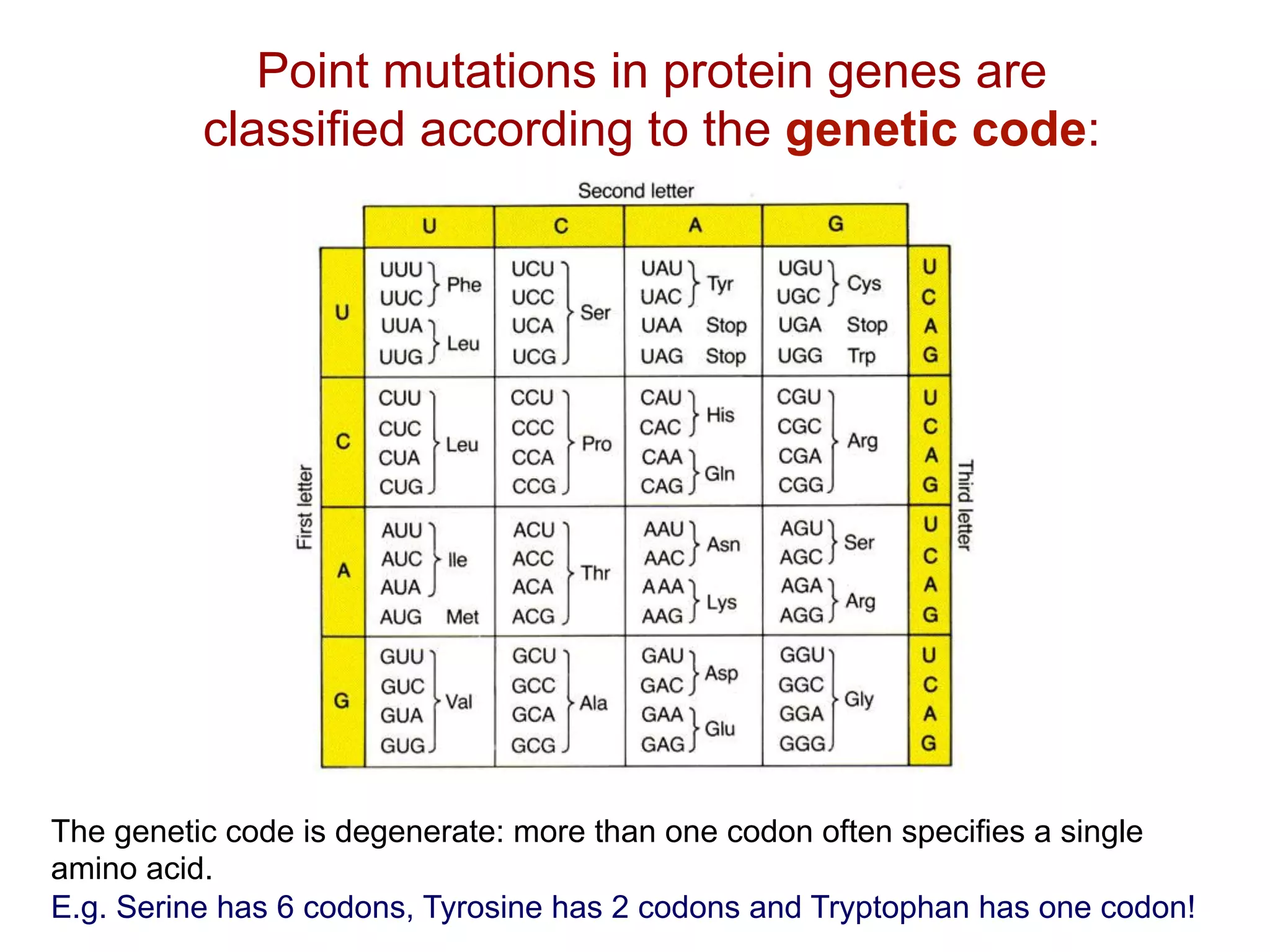 Protein Evolution: Structure, Function, and Human Health | PDF