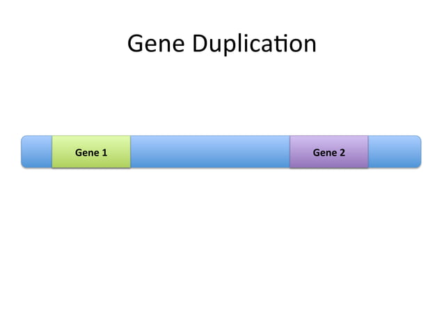 Protein Evolution Structure Function And Human Health Pdf