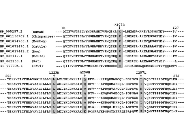Protein Evolution Structure Function And Human Health Pdf