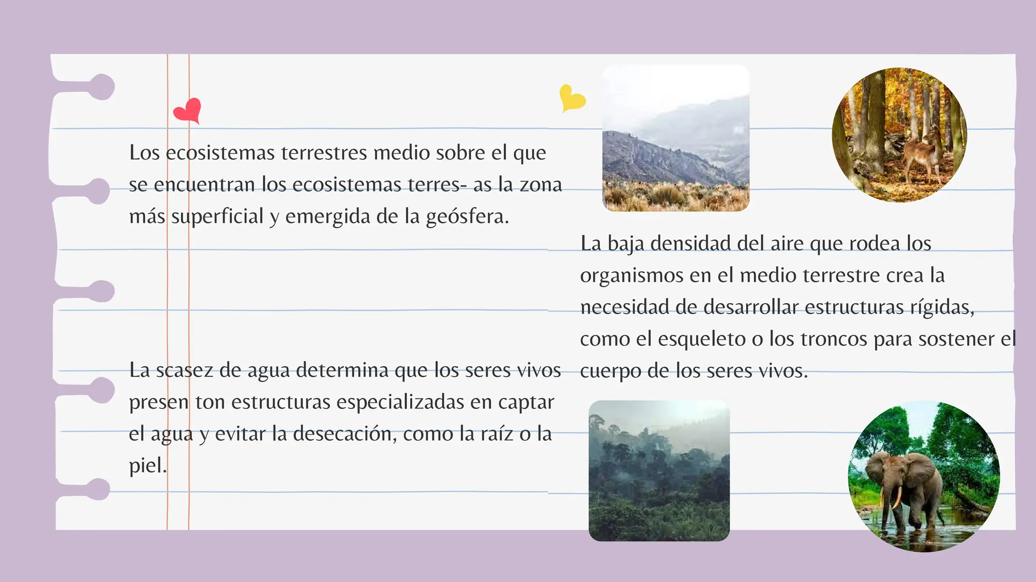 El estudio de los ecosistemas terrestres | PDF | Geography | Science