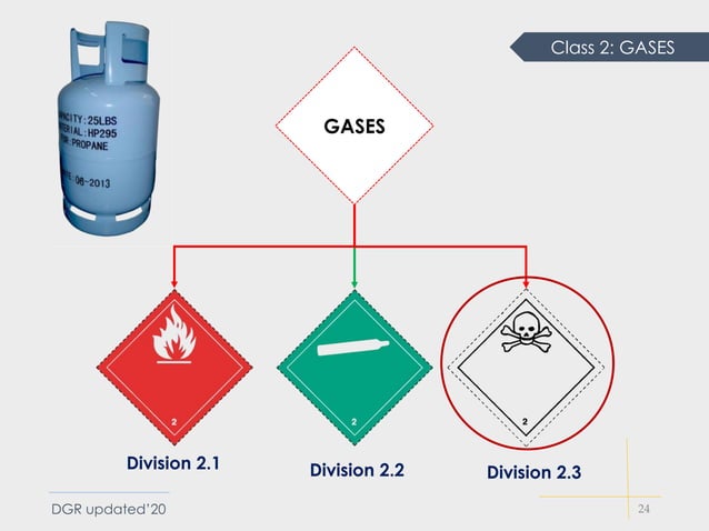 Dgr recurrent 2020 edition 61th | PDF