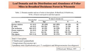 Leaf domatia and Predatory mites_P Dyamanagouda | PDF