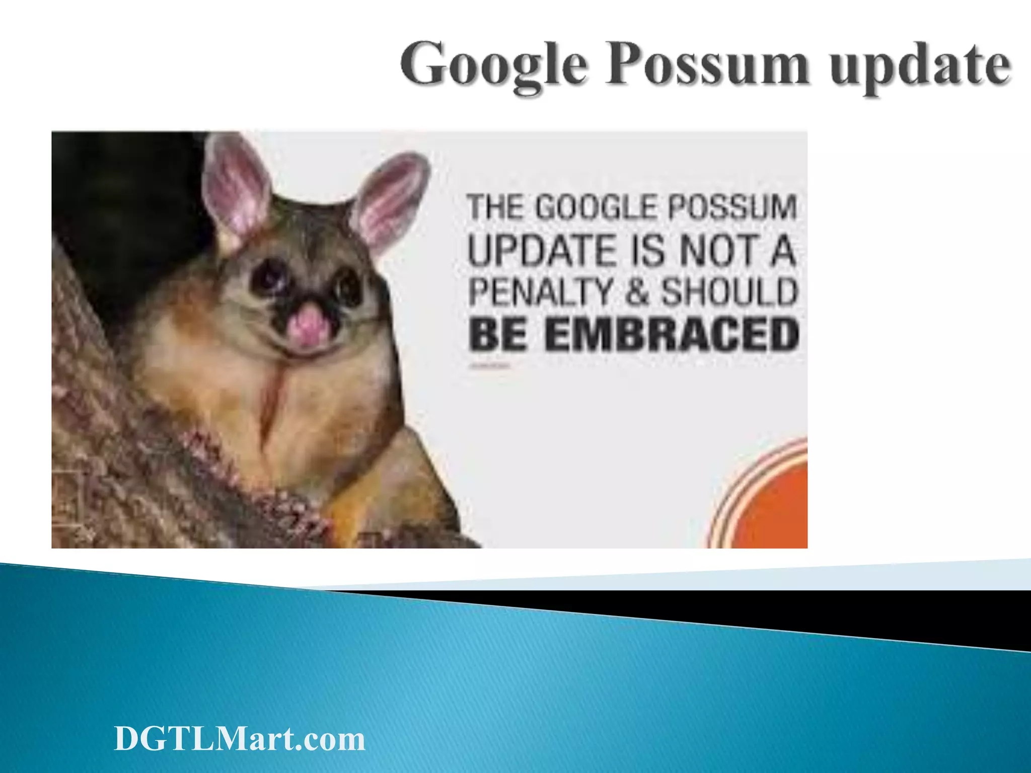 Google Possum update | PPTX