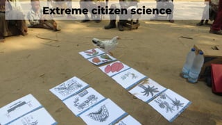 Digital Geographies Working Group - citizen science - passive and ...