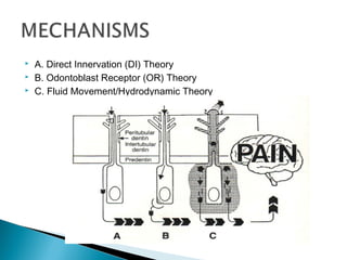 DENTIN HYPERSENSITIVITY - ETIOLOGY, DIAGNOSIS AND TREATMENT | PPT