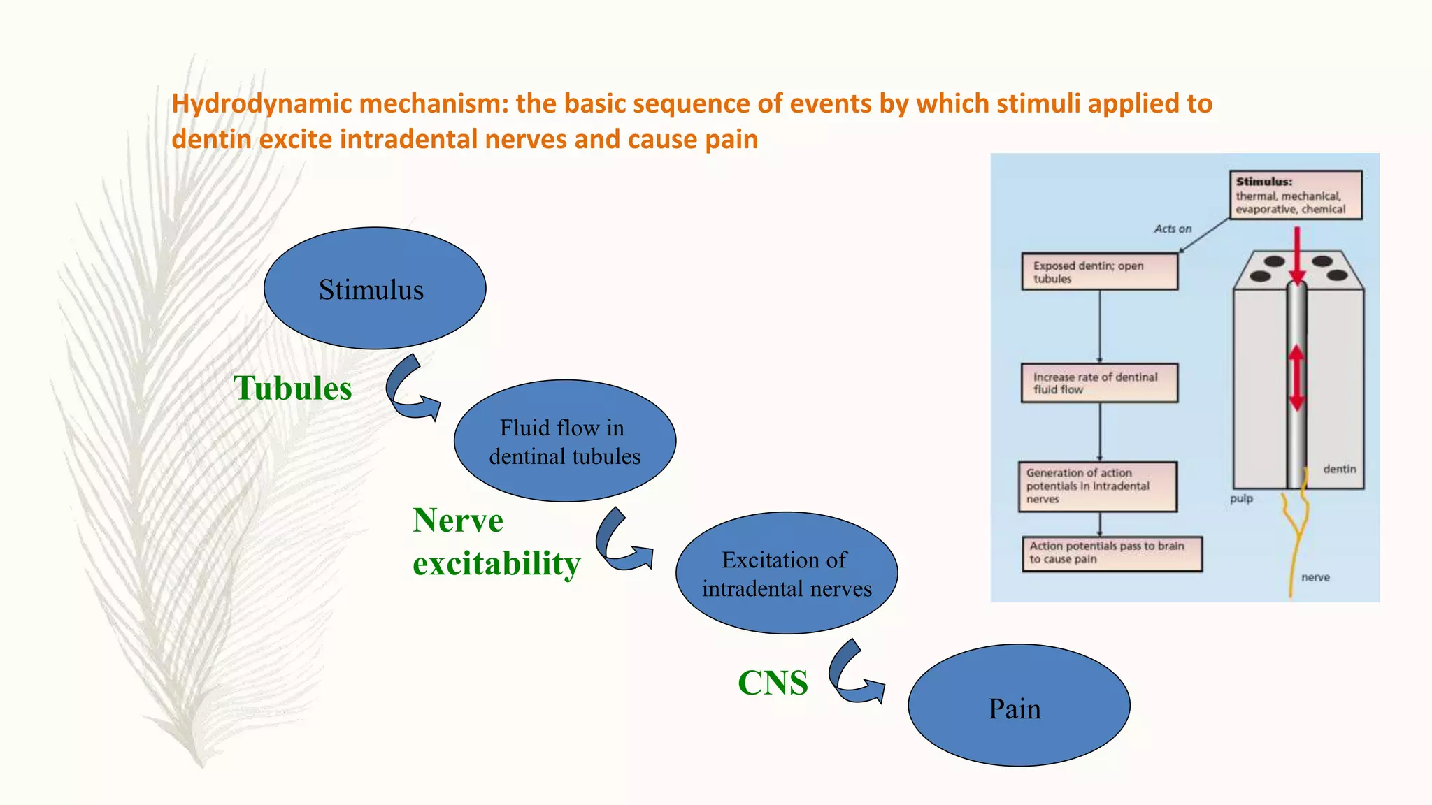 Dentin hypersensitivity | PPTX