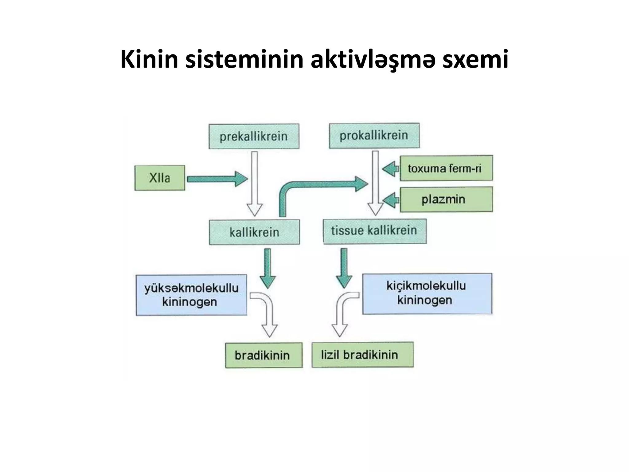 İltihab prosesi | PPTX