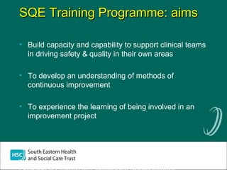 Safety, Quality and Patient Experience Programme (SQE) | PPT