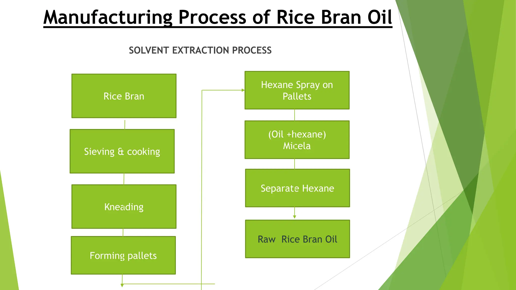 Rice Bran Oil Manufacturing Process | PPTX