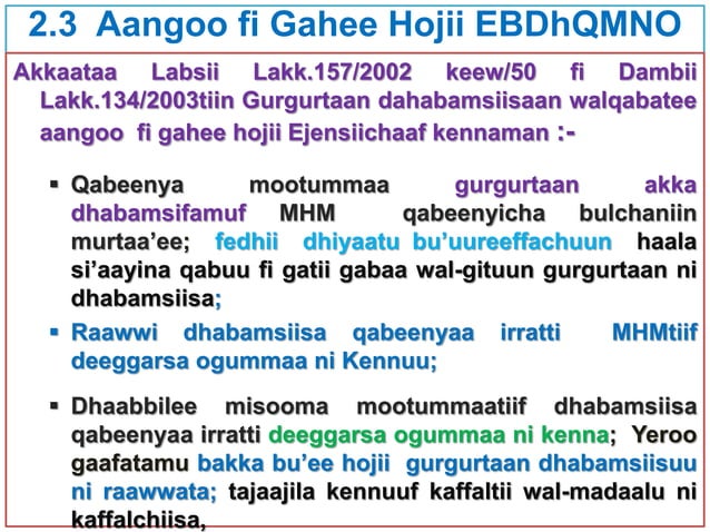 Dhabamsiisa qab- 2-1 Fina (1).pptx