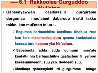 Dhabamsiisa qab- 2-1 Fina (1).pptx