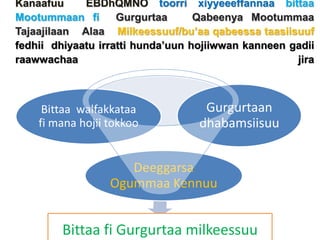 Dhabamsiisa qab- 2-1 Fina (1).pptx