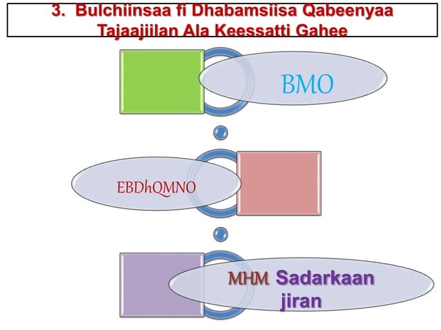 Dhabamsiisa qab- 2-1 Fina (1).pptx