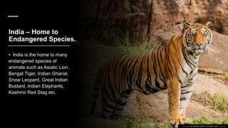 Historical facts about India SST.pdf