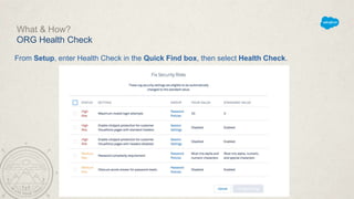 Salesforce Org Health Check & Performance Testing | PPT