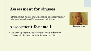health assessment of an individuals differet body parts in nursing.pptx