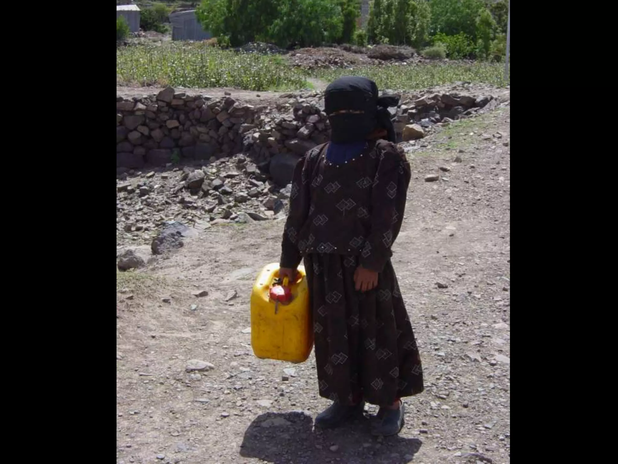 Beautiful people of Dhamar-Yemen | PPT