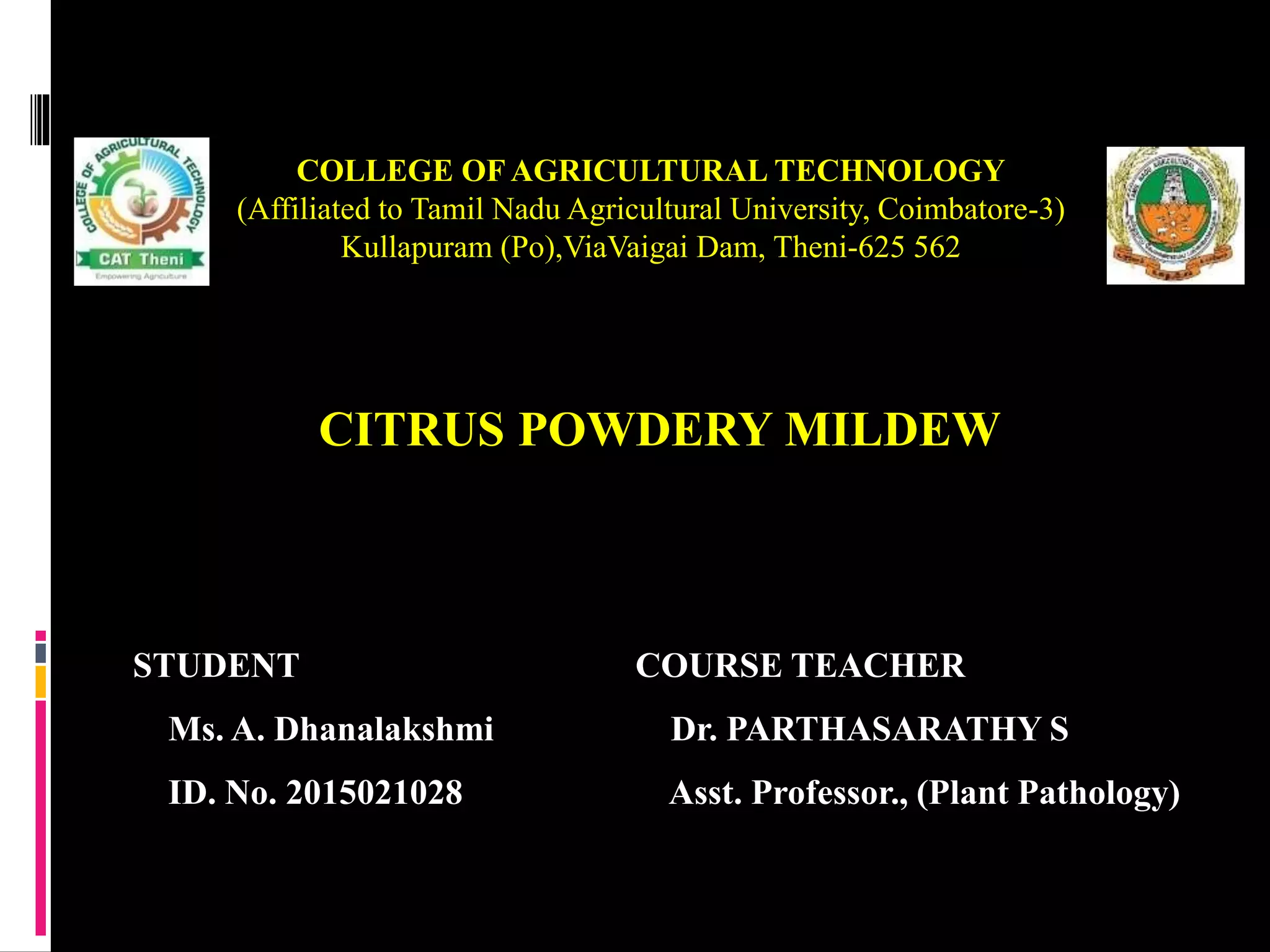 Citrus Powdery Mildew | PPTX