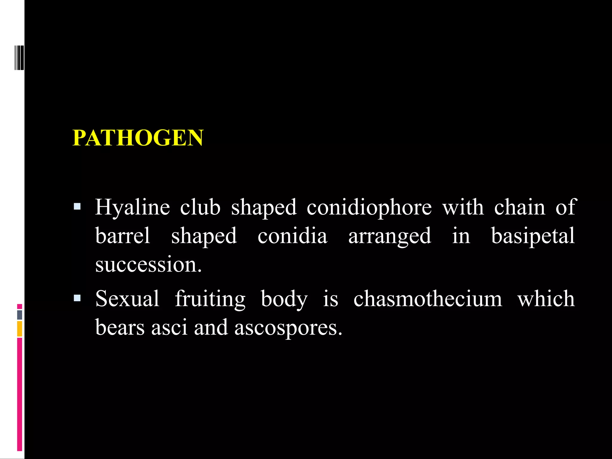 Citrus Powdery Mildew | PPTX