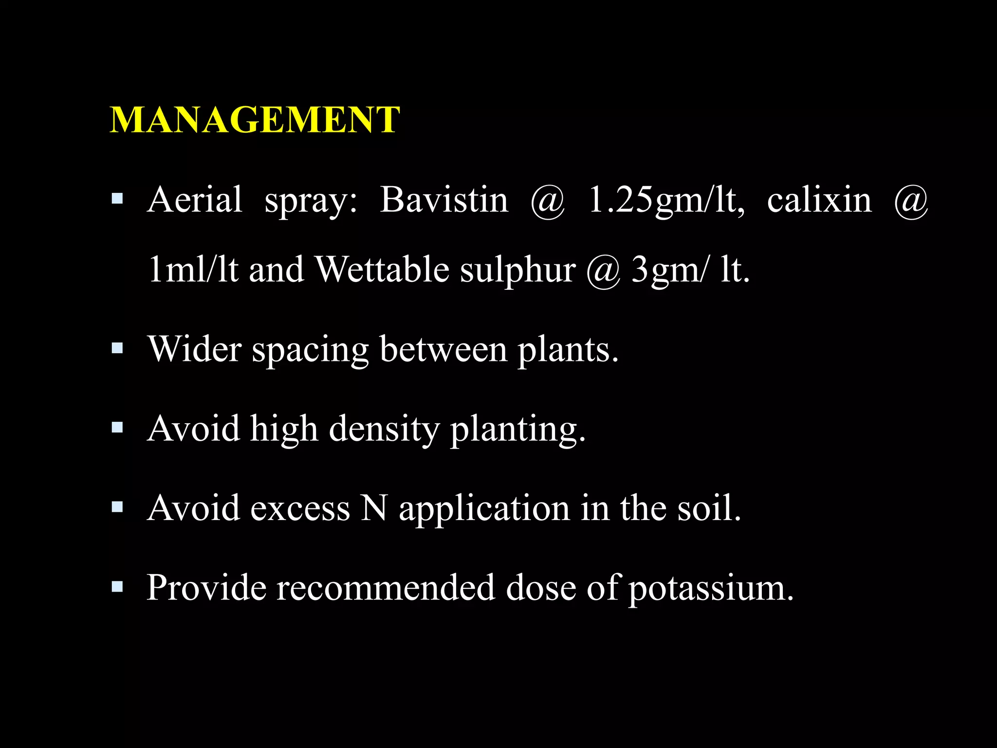 Citrus Powdery Mildew | PPTX