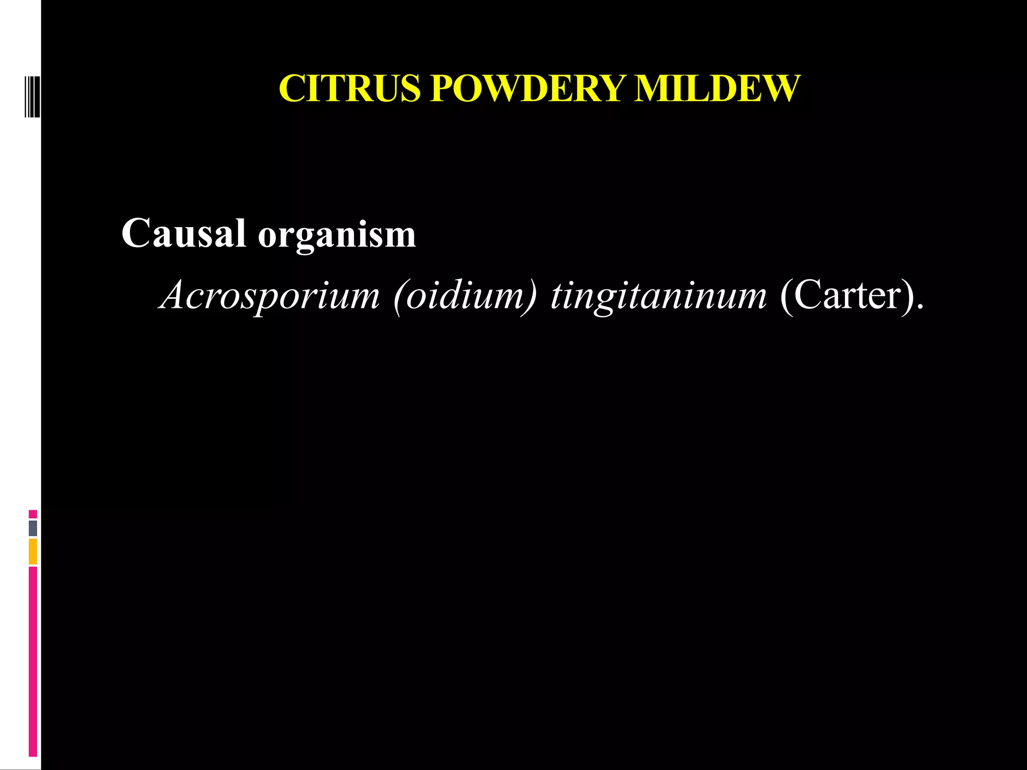 Citrus Powdery Mildew | PPTX