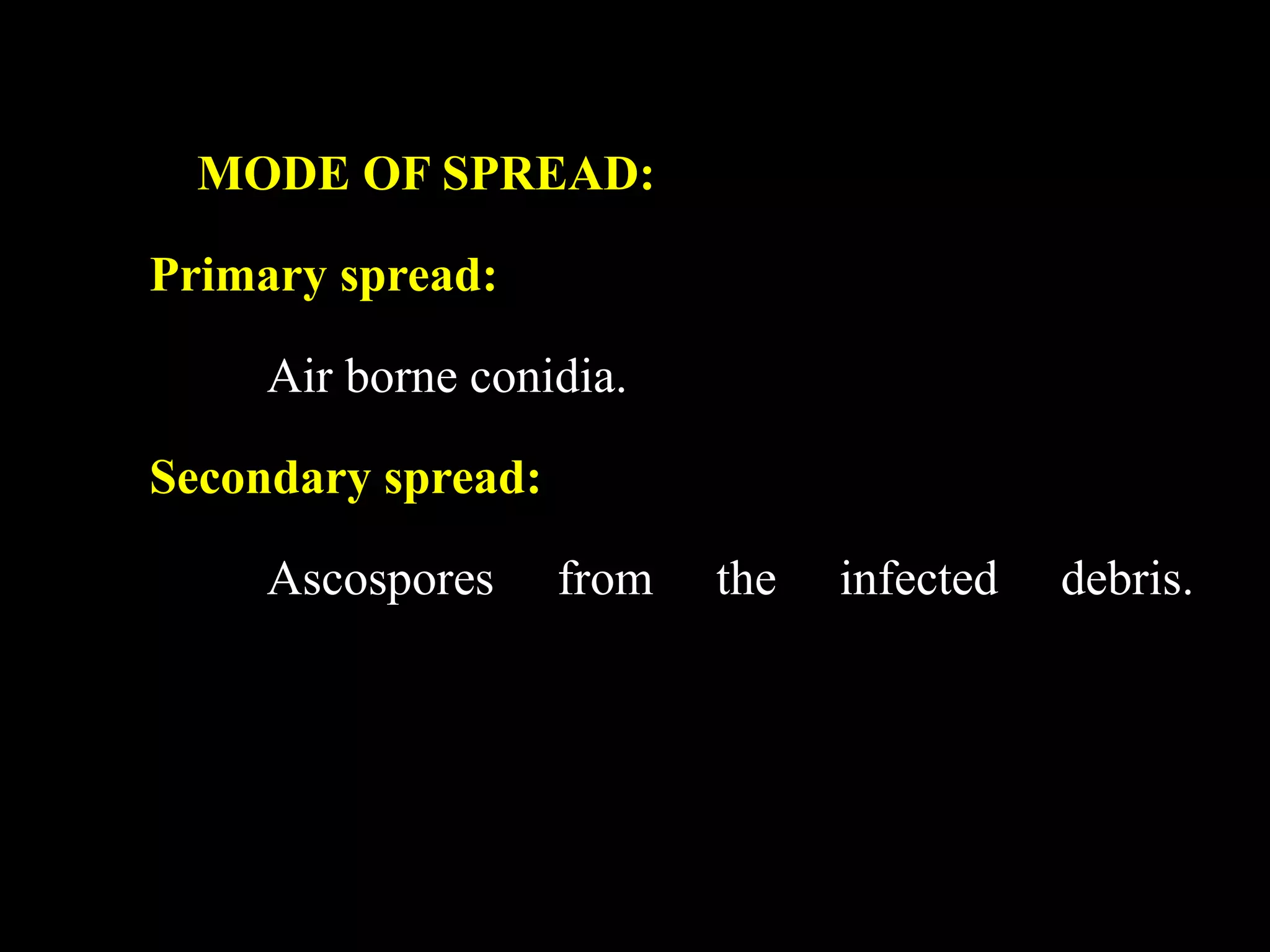 Citrus Powdery Mildew | PPTX