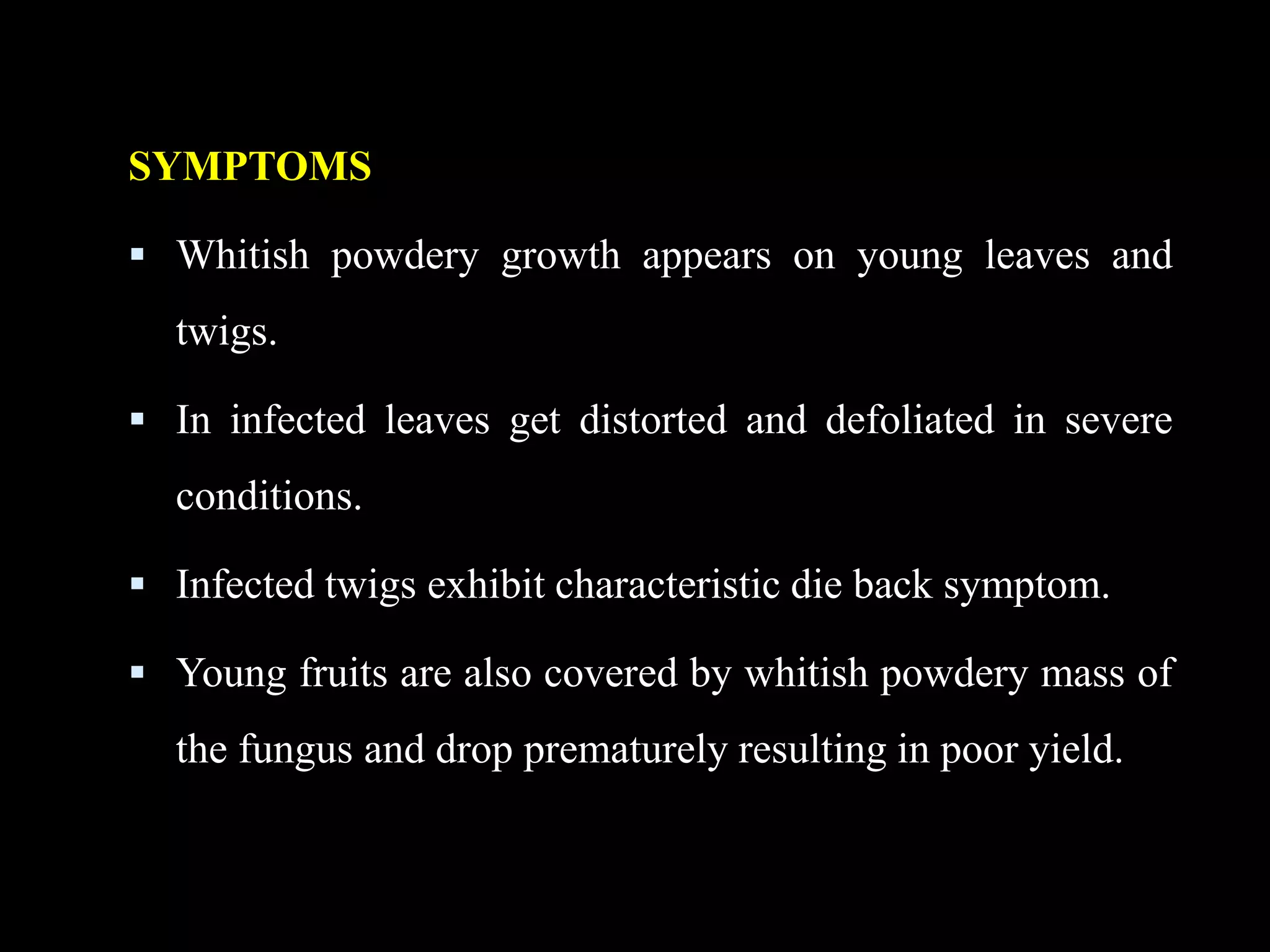 Citrus Powdery Mildew | PPTX