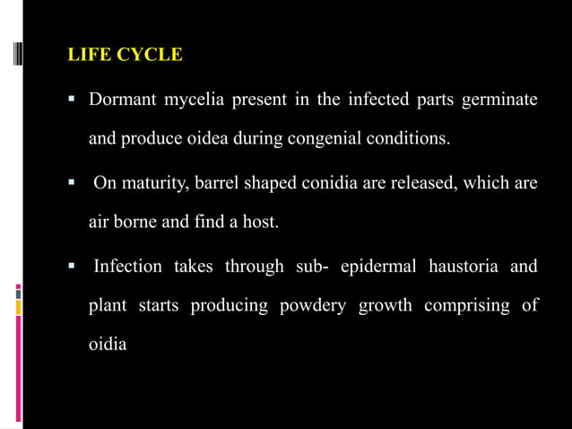 Citrus Powdery Mildew | PPTX