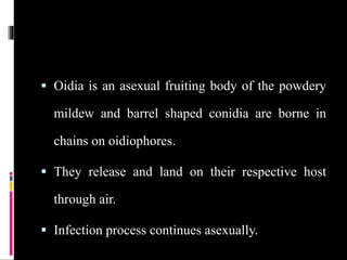 Citrus Powdery Mildew | PPTX