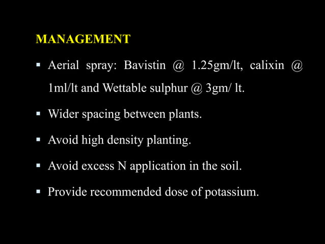 Citrus Powdery Mildew | PPTX