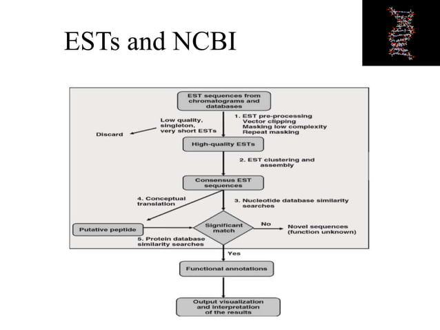 Express sequence tags | PPTX | Genetics | Science