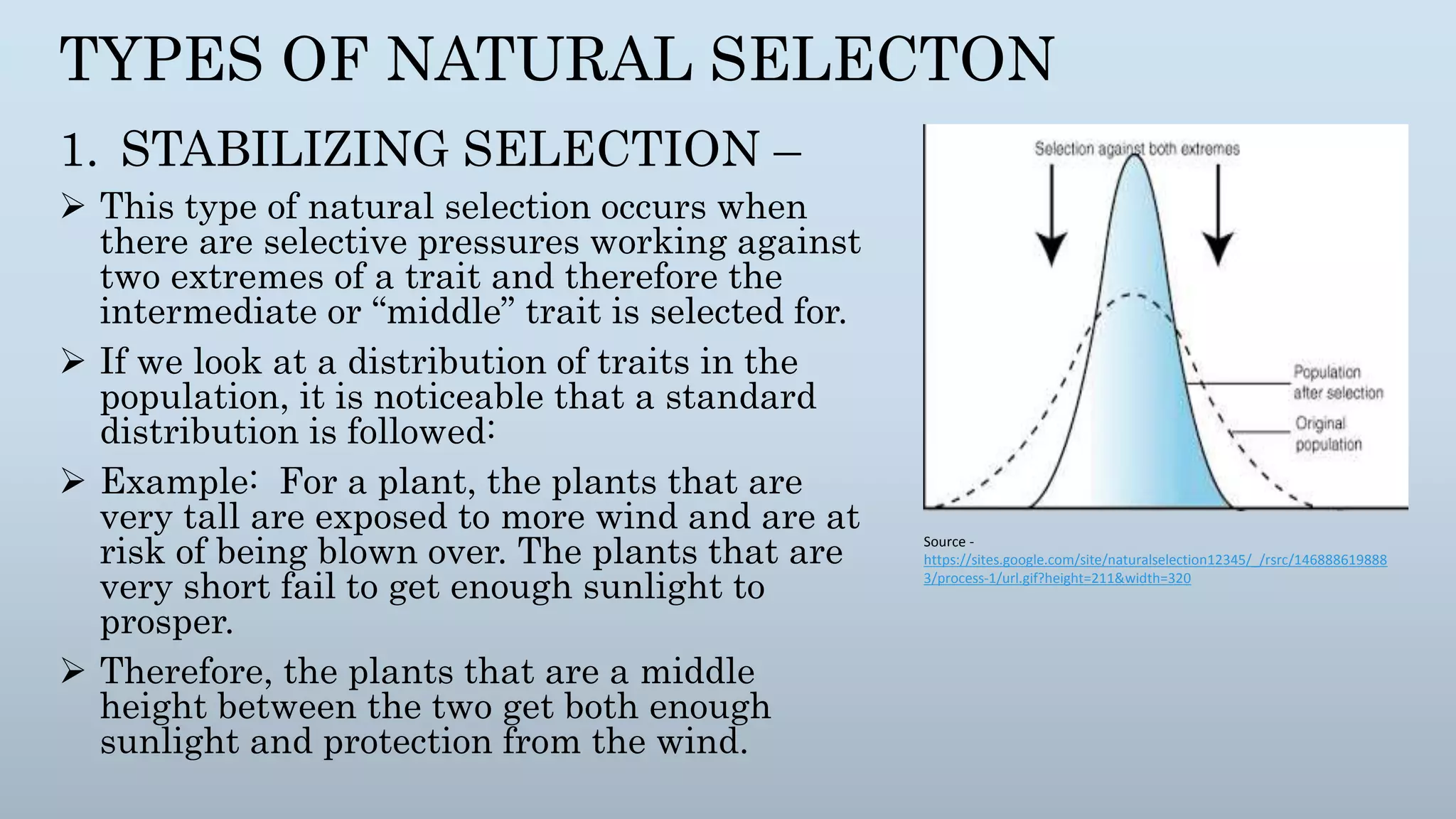 Natural selection | PPTX