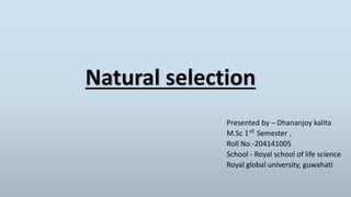 Natural selection | PPTX