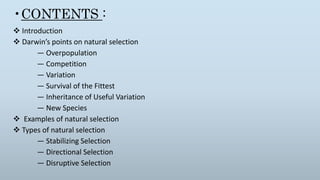 Natural selection | PPTX