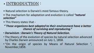 Natural selection | PPTX