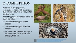 Natural selection | PPTX