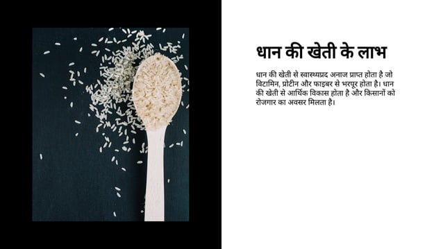 Dhan ki kheti.pdf