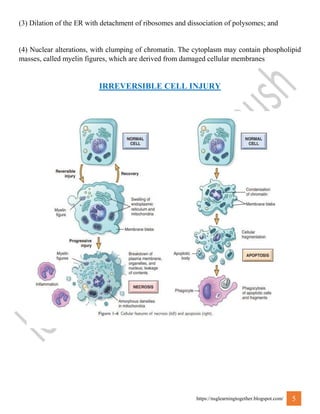 pathology-cell _injury.pdf