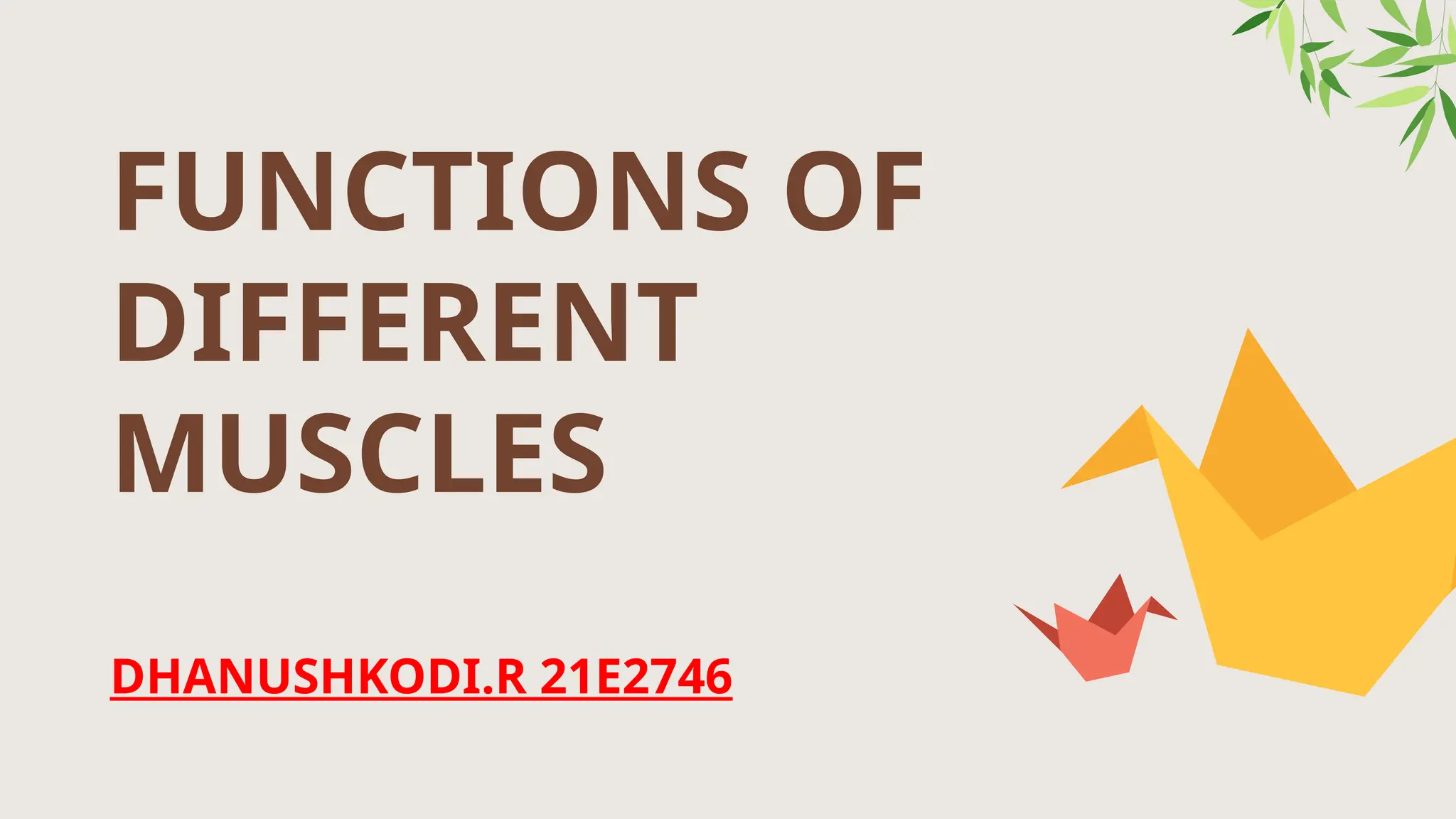 Unit5muscles types of muscles SMOOTH CARDIAC SKELETON | PPT