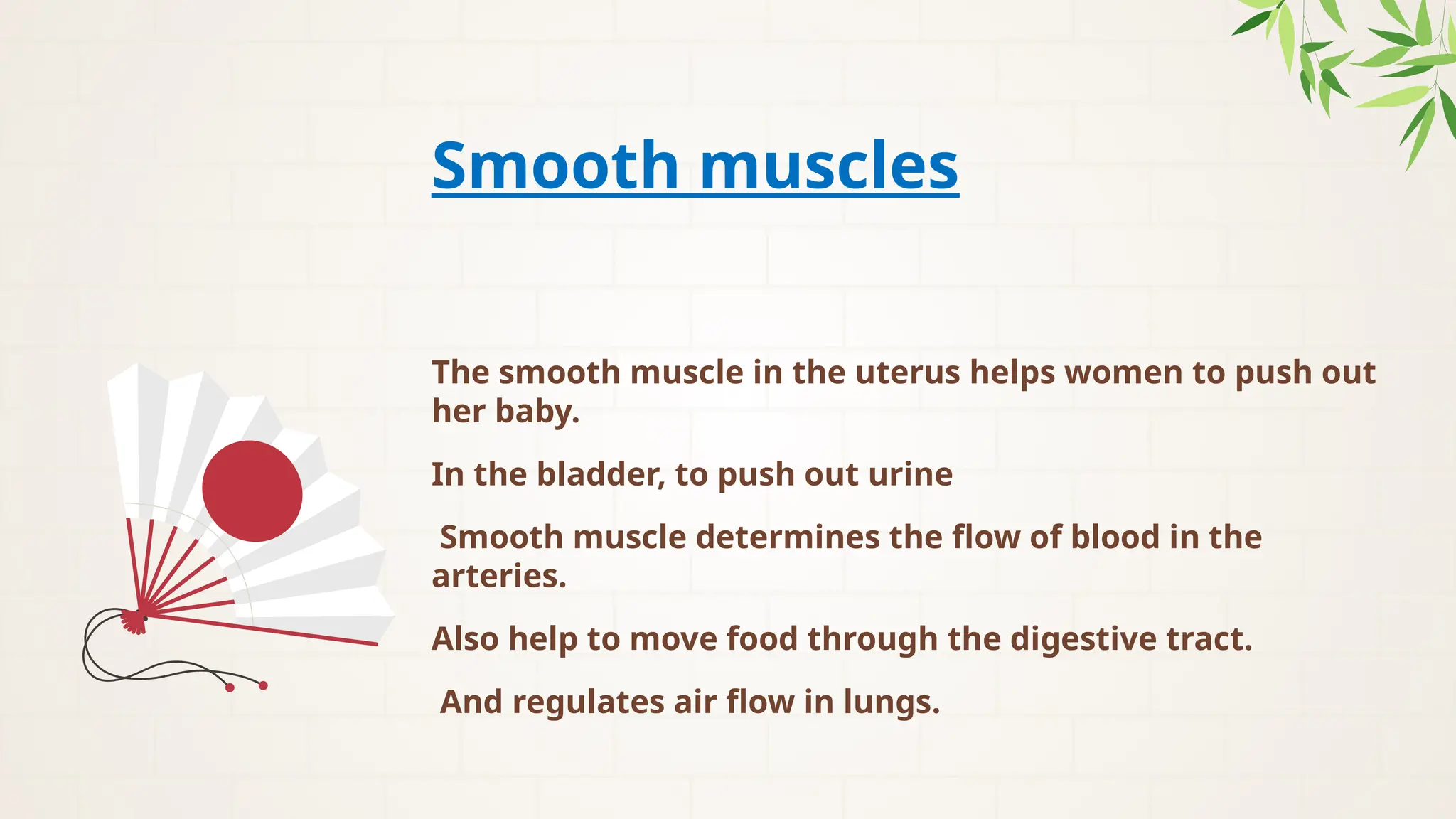 Unit5muscles types of muscles SMOOTH CARDIAC SKELETON | PPT