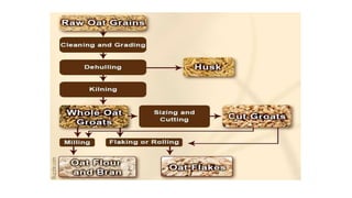 Harvest and Post Harvest Handling of Oats | PPTX