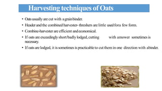 Harvest and Post Harvest Handling of Oats | PPTX