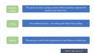 Harvest and Post Harvest Handling of Oats | PPTX