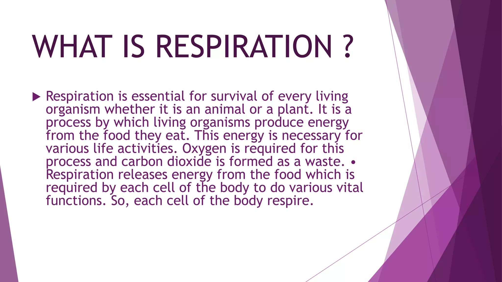 PPT ON RESPIRATION .pdf