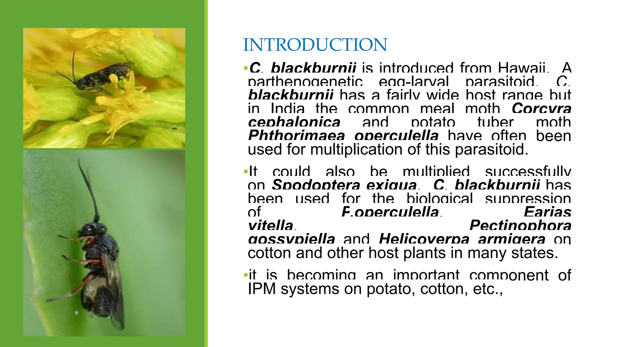mass production of bio agents and bio pesticides | PPTX