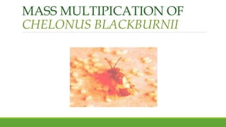 mass production of bio agents and bio pesticides | PPTX
