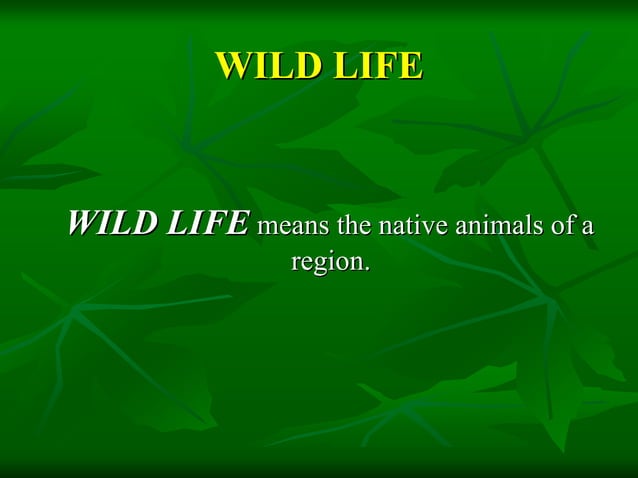 Forest and wildlife | PDF | Geography | Science